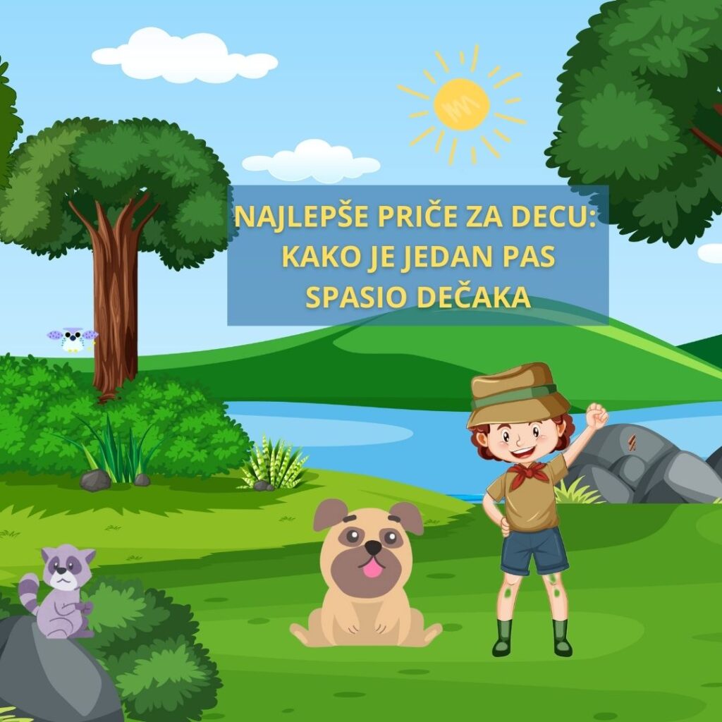 NAJLEPŠE PRIČE ZA DECU: KAKO JE JEDAN PAS SPASIO DEČAKA | Natašini psi