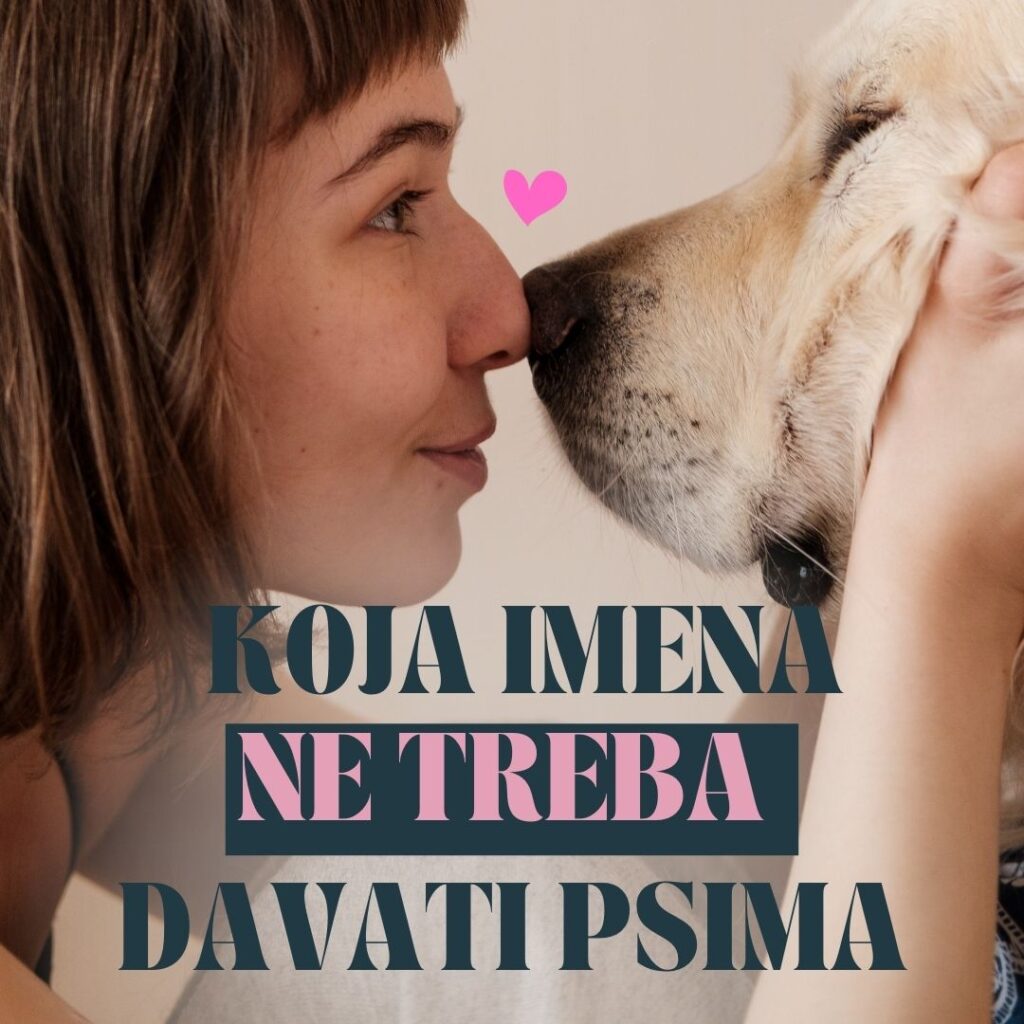 KOJA IMENA NE TREBA DAVATI PSIMA | Natašini psi